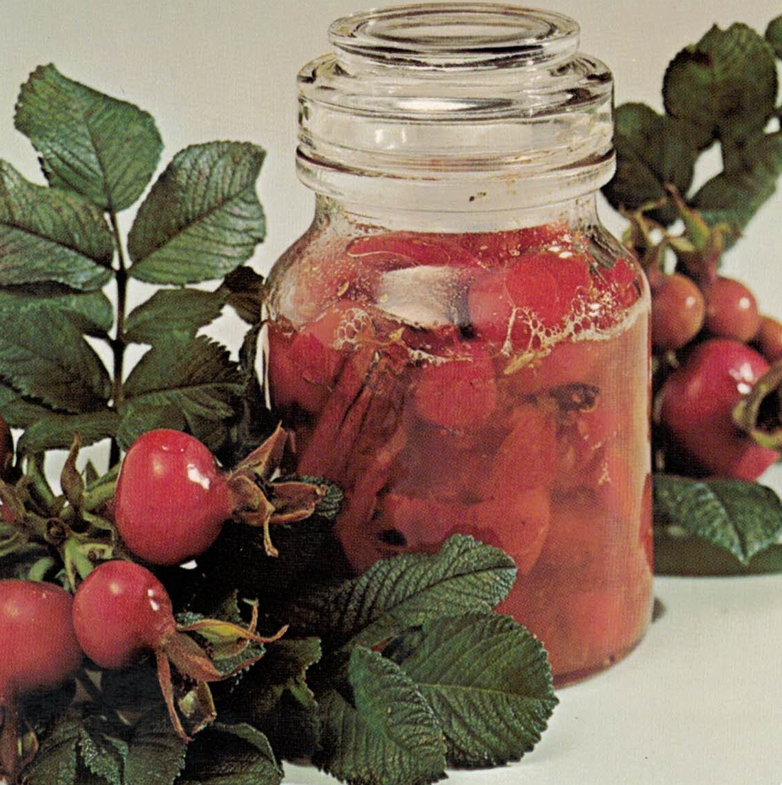 Syltede hyben | Madperler